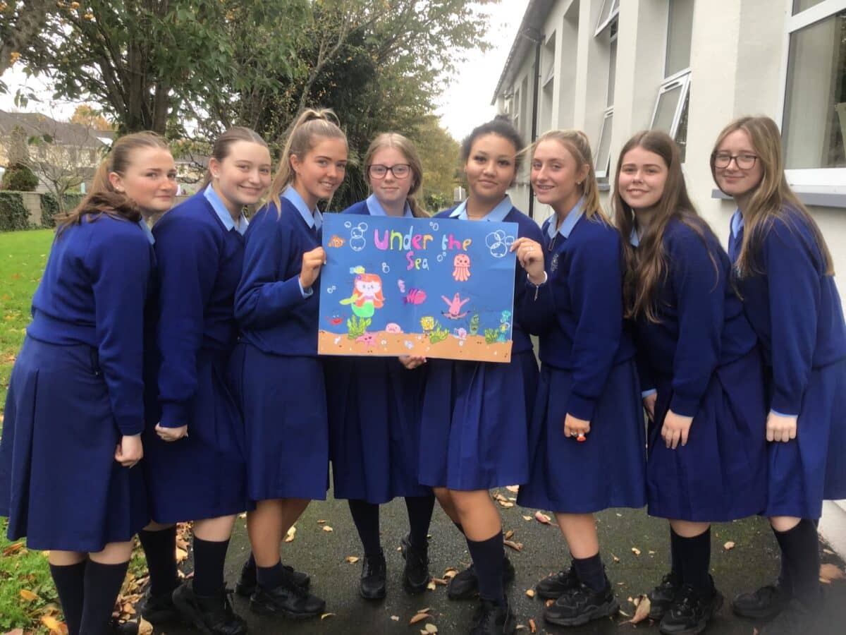 TY Pupils Create A Lesson Plan as Part of Community Action - Maryfield ...