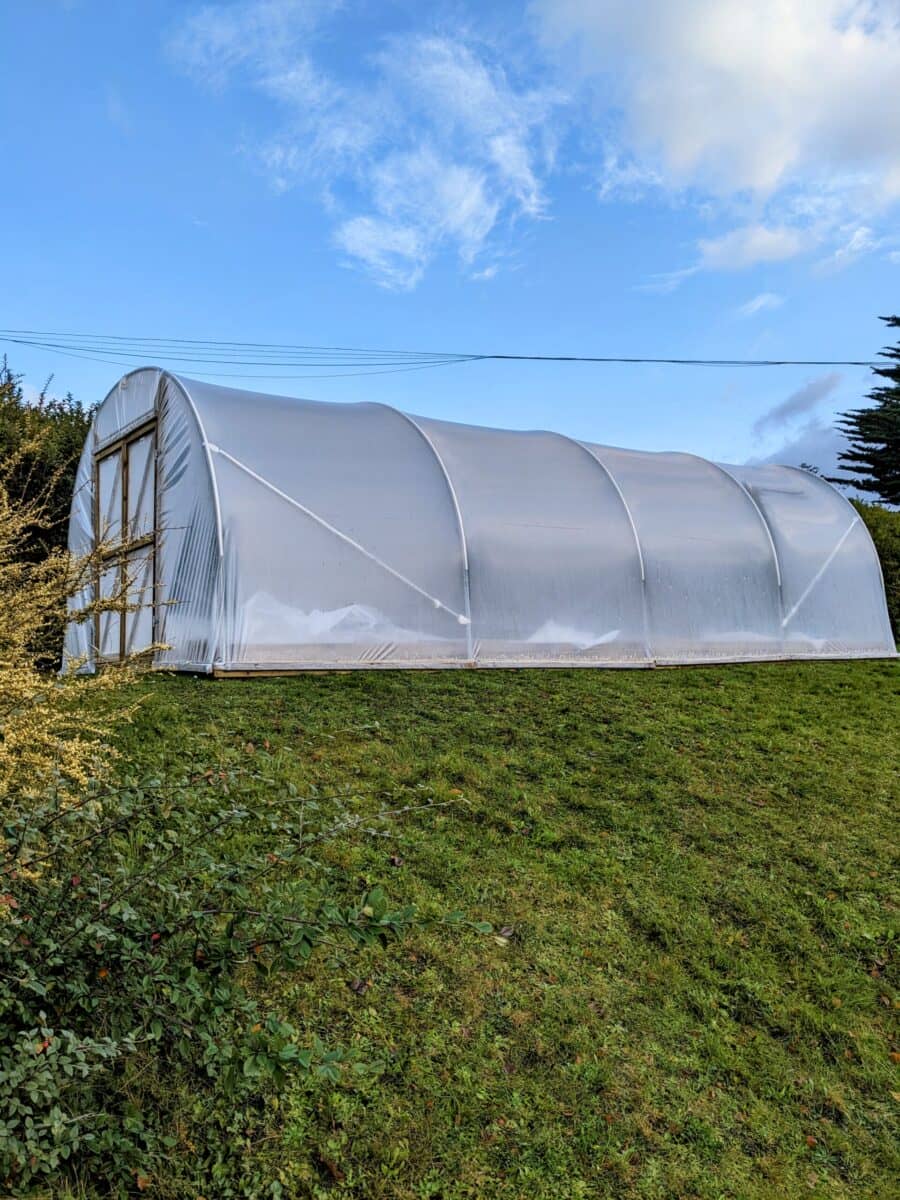 School Pollytunnel - Maryfield College